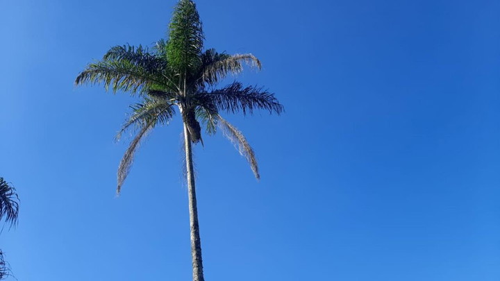 Sítio Em Mogi Das Cruzes - Suzano