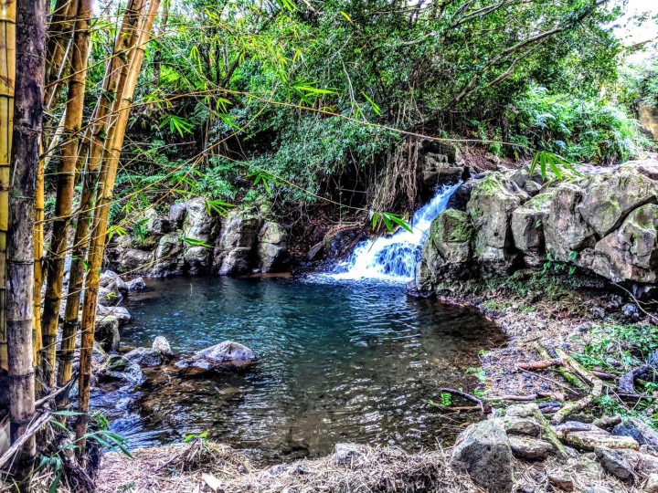 Hamakua Guesthouse - Hawái