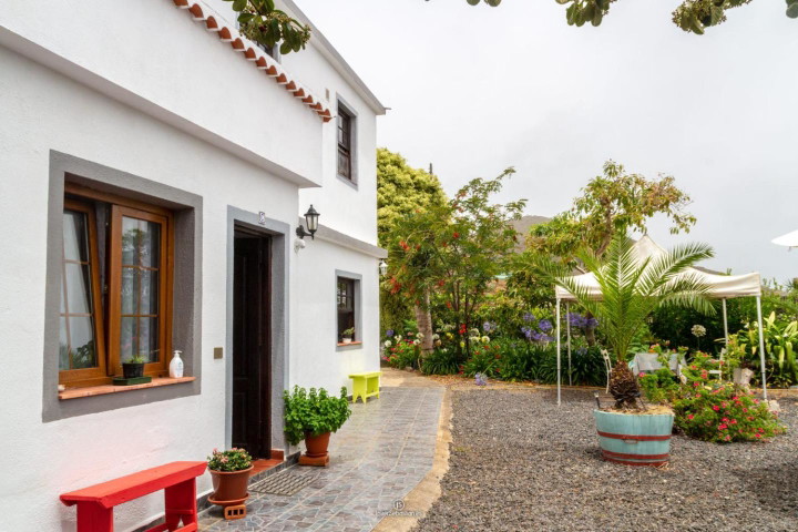 Bodega Goyo - Santa Cruz de la Palma