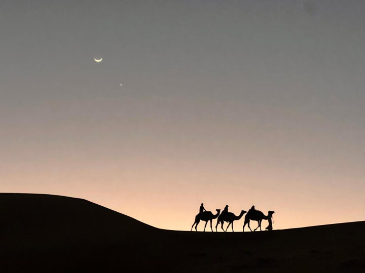 Private Bedouin Tent Al Badri - Amman