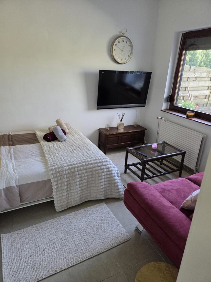 Studio Cozy Avec Terrasse - Mechelen
