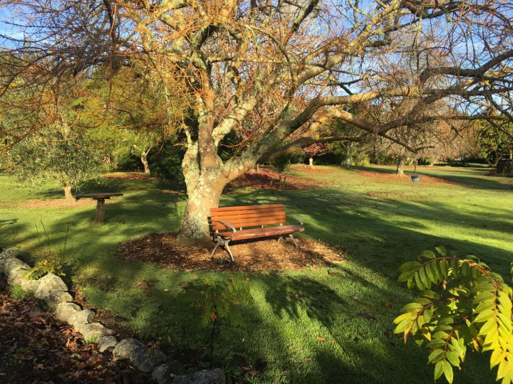 Kerikeri Garden Homestead - Kerikeri