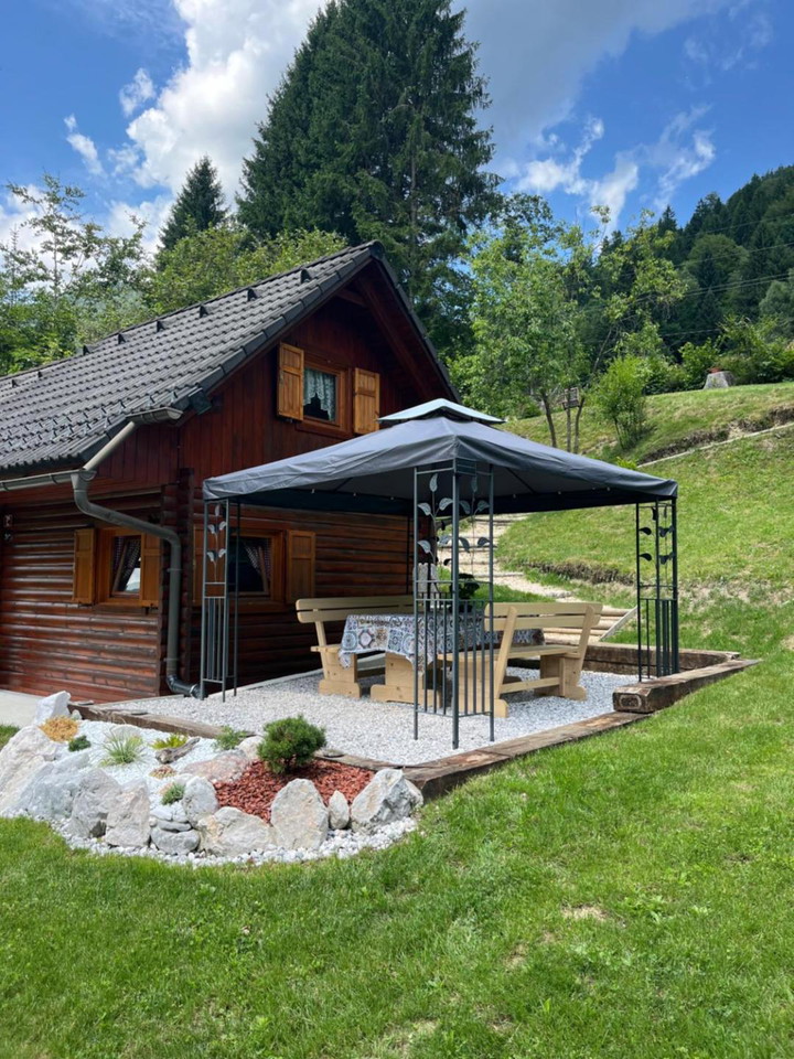 Cottage Ladybug - Bled