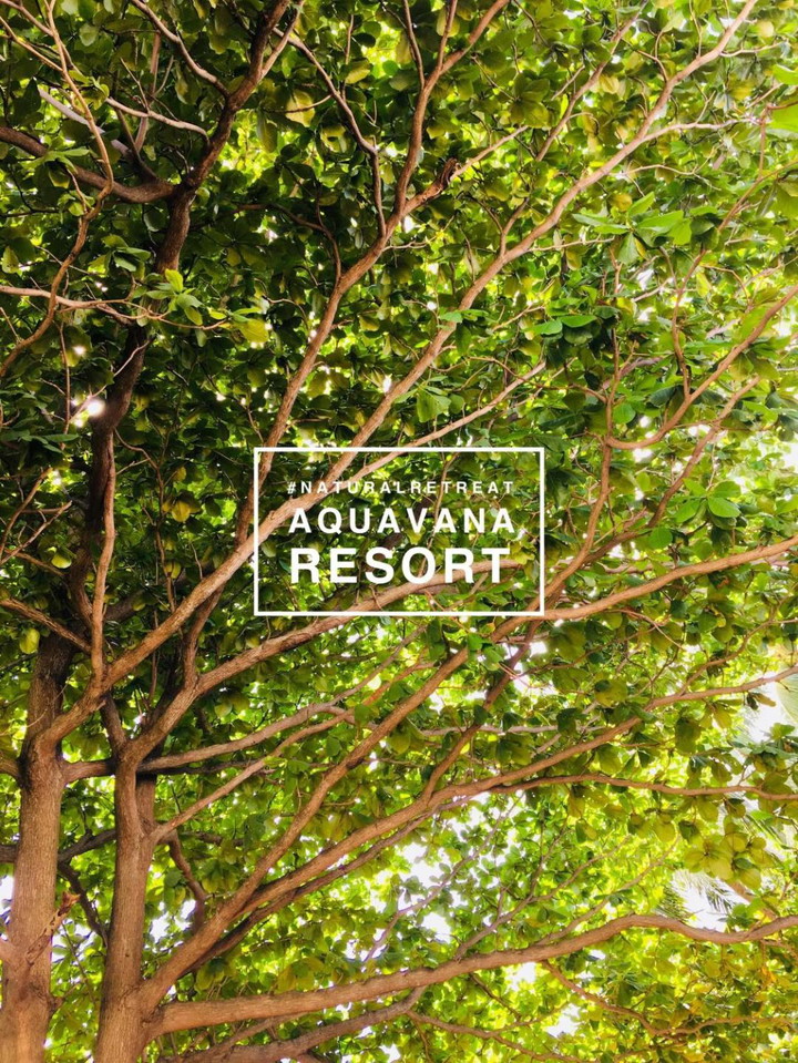 Aquavana Haad Rin Resort - Koh Samui