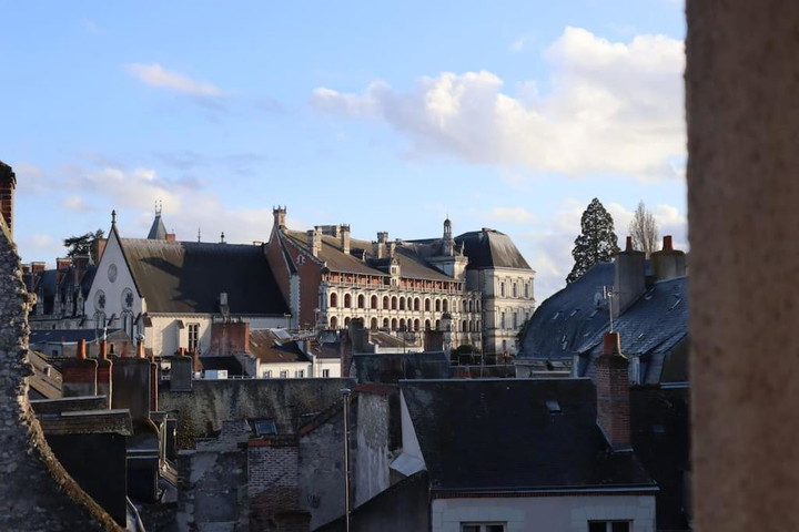 Séjournez Face Au Château Royal De Blois - Blois