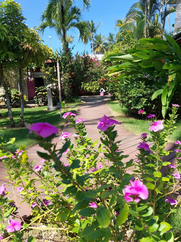 Hotel Casa Robinson - Dominica