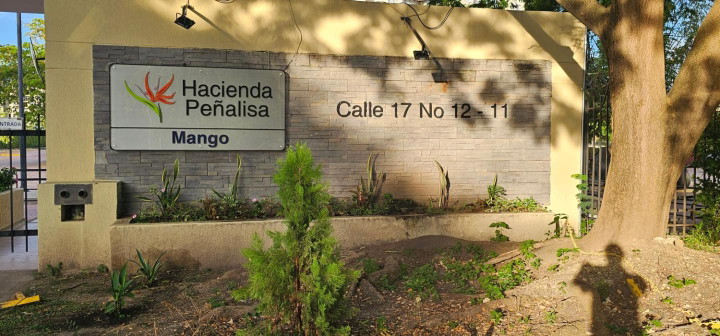 Hacienda Peñalisa Mango - Ricaurte
