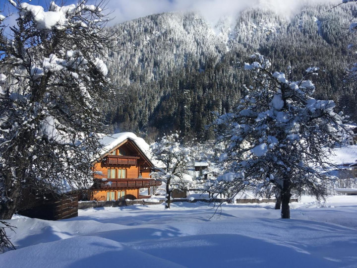 Landhaus Dajana - Gaschurn