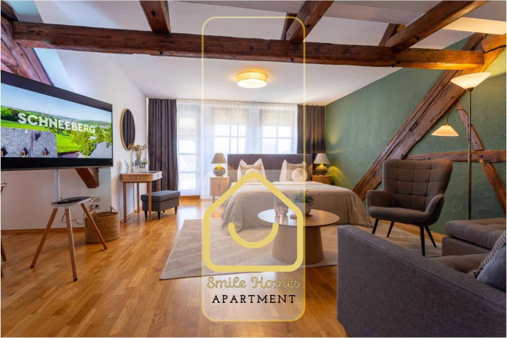 Neu - Dachsuite Mit Privater Sauna & Dachterrasse - Stollberg