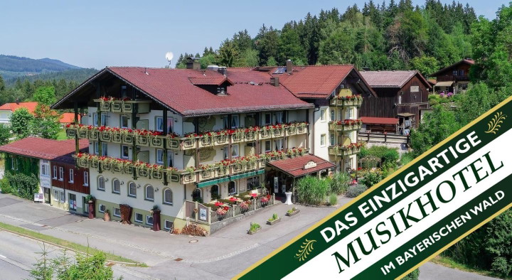 Musikhotel Zum Singenden Musikantenwirt - Deggendorf