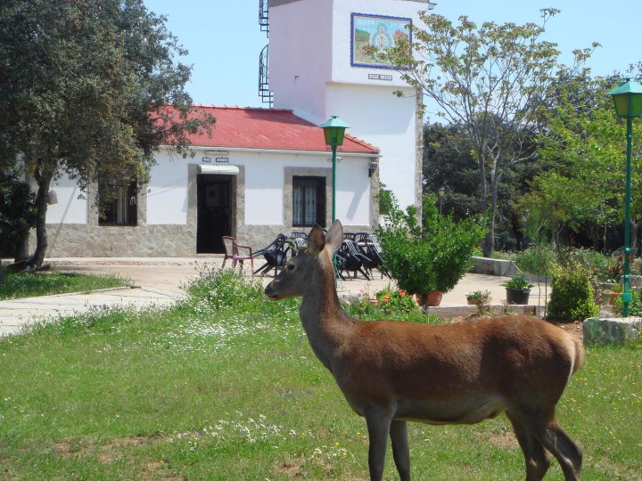 San José - Marmolejo