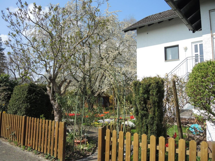 Apartement Am Kirschbaum - Mainz