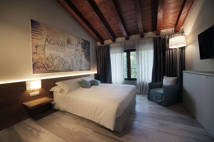 Agriturismo Acinatico Wine Relais - Veneto