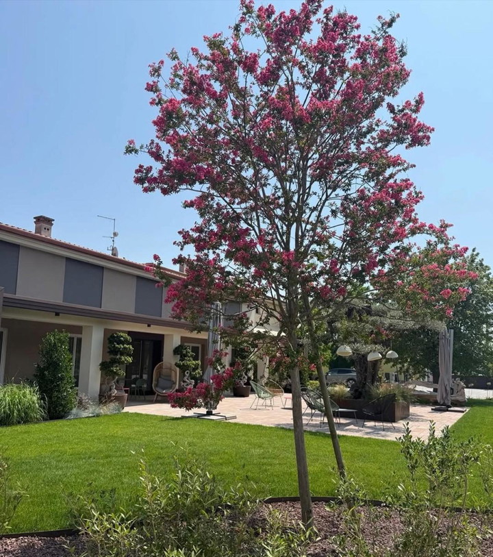 Agriturismo Camerin - Cl Agri Lounge - Conegliano