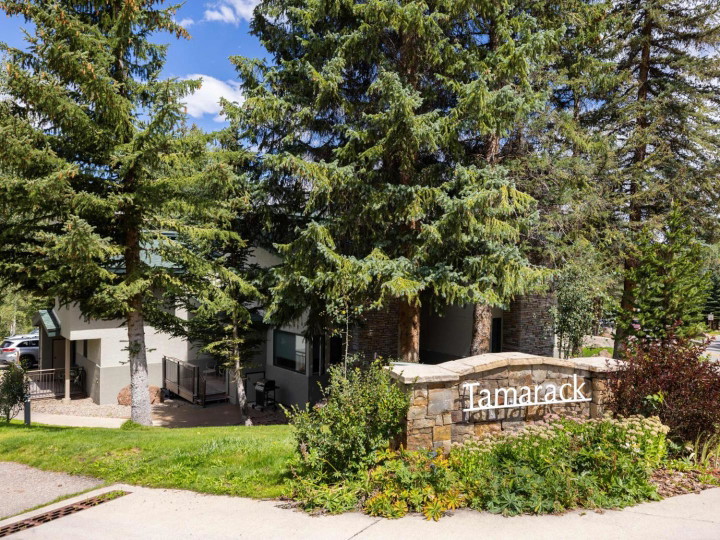 Tamarack Townhomes - Coraltree Residence Collection - Snowmass Village, CO