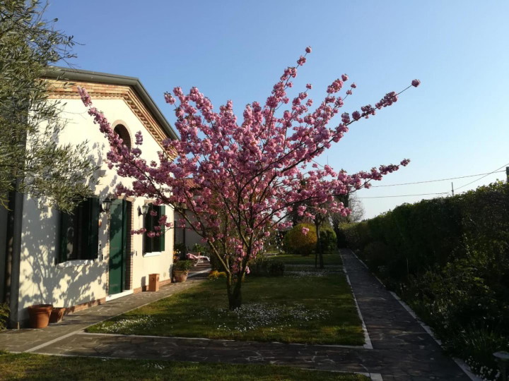 Casa Pianta - Cavallino-Treporti
