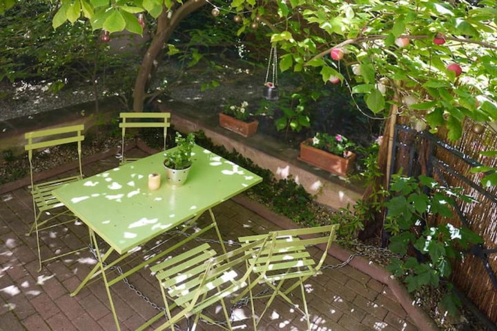Appartement Petite France Avec Terrasse - Strasbourg