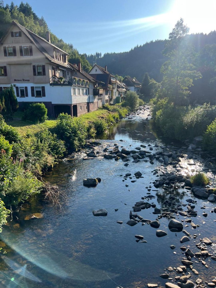 Murgtal Traum Apartment Schwarzwald - Baiersbronn