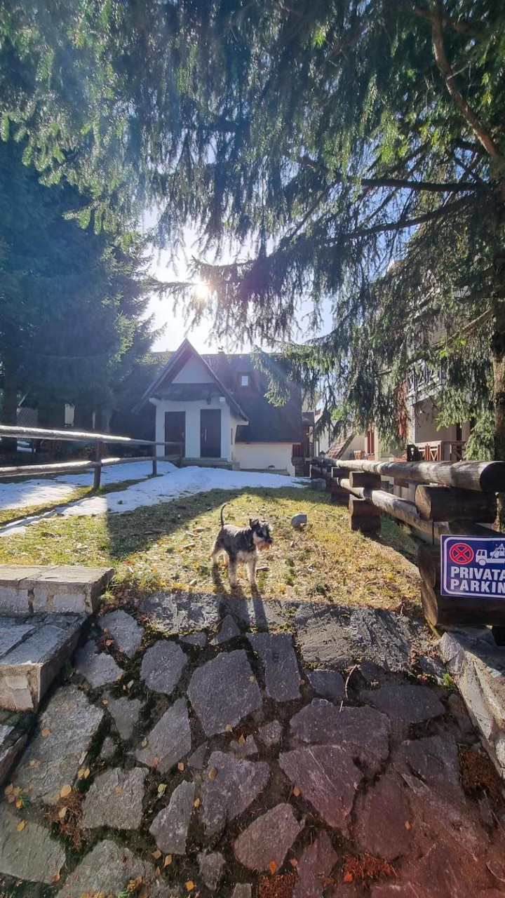 Kućerak Na Kopu - Kopaonik