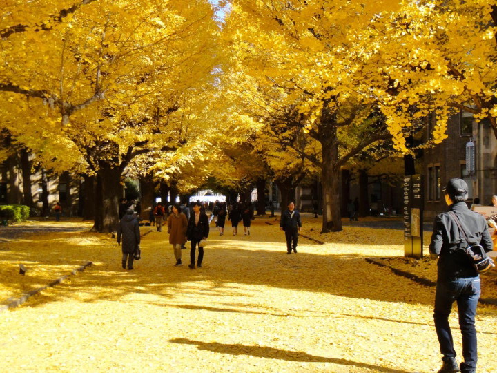 Alo Bnb 6 - Near Ikebukuro, Shinjuku, Ueno, Akihabara - Self Check-in - Ikebukuro