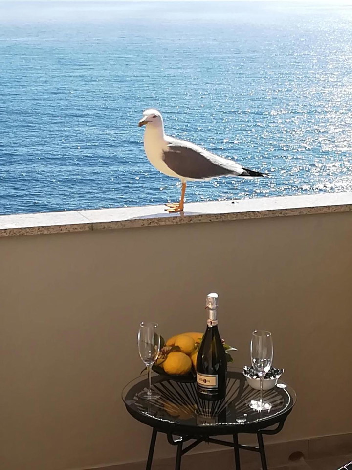 Alex Room - Riomaggiore
