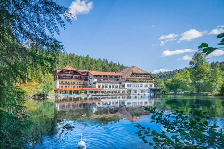 Hotel Langenwaldsee - Black Forest