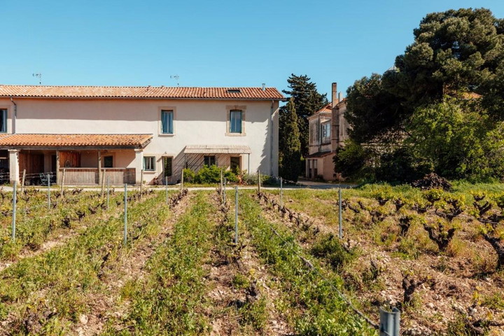 Eco-friendly Cottage In Frontignan Wine Estate - Frontignan