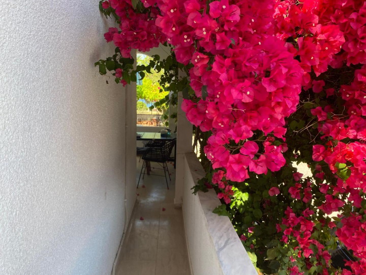 Astradeni Suite - Halkidiki