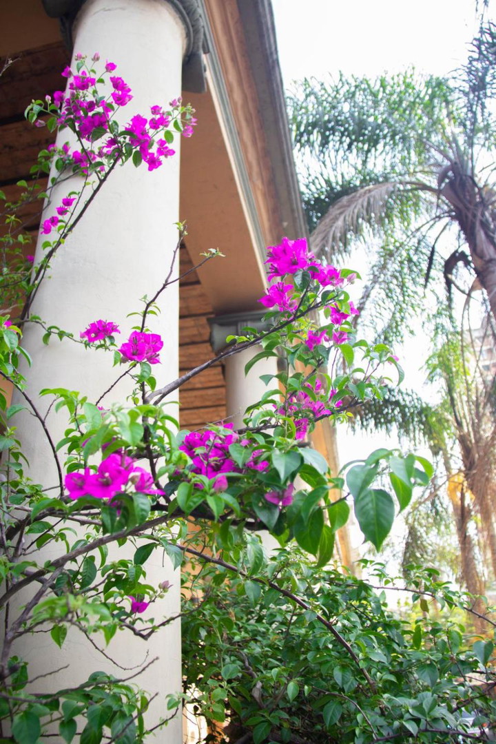 Asuncion Palace - Asuncion