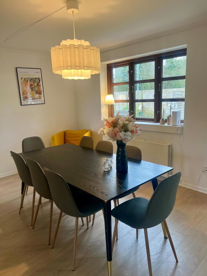 Hyggeligt Hus Med Have - Odense