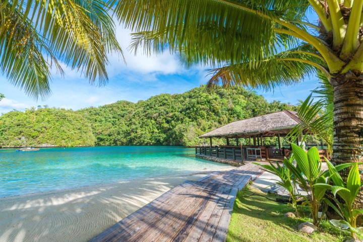 Sea Passion Hotel - Palau