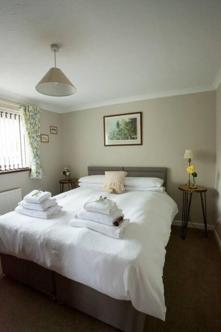 Goitre Bach Cottage - Aberaeron