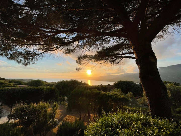 Résidence îLe De Beauté - Olmeto