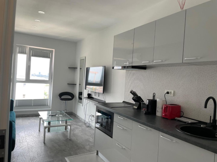 Cozy 2-room Penthouse Lakeview W14 - Chiajna