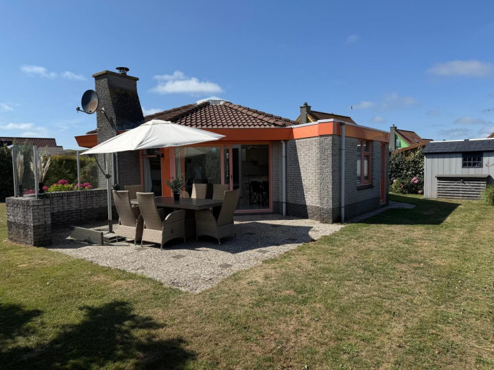 Zeester 217 - Texel