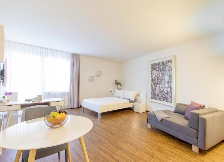 Apartmenthaus Zum Trillen Basel City Center - Blotzheim