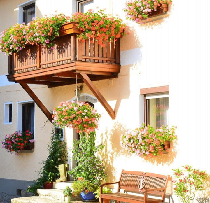 Bauernhof König - Zwiesel