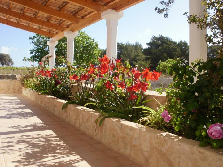 Finca Blanca Formentera - Formentera