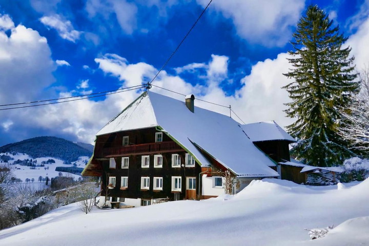 Echtes Schwarzwaldhaus - Traditionell & Modern - Feldberg