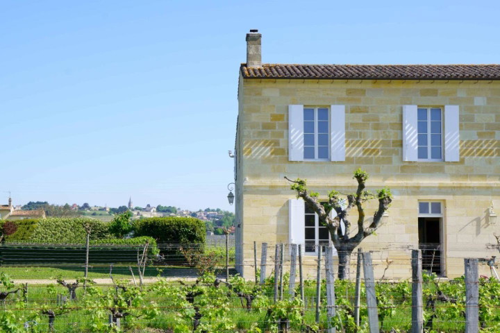 La Girondine De Ferrand Lartigue - Saint-Émilion