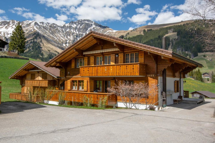 Ferienwohnung Hahnenmoosstrasse - Adelboden