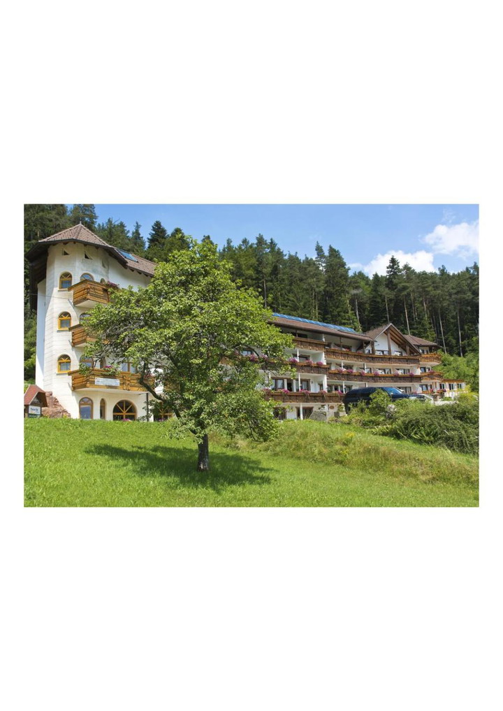 ÖKo-landhotel Basler Hof - Schiltach