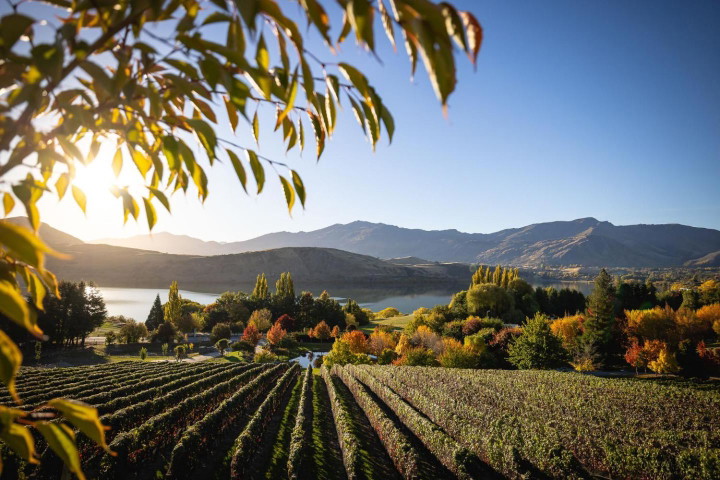 Stoneridge Estate - Queenstown