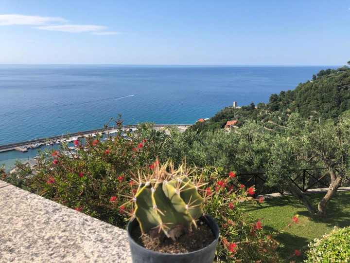 Villa Degli Ulivi B&b - Noli