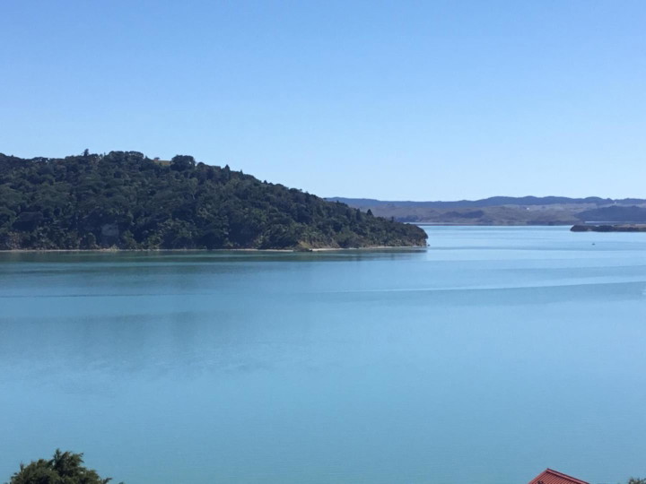Moonlight Bay Studio With Views - Raglan