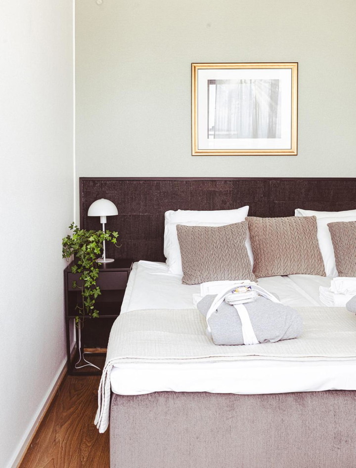Hotel Emilia - Hämeenlinna