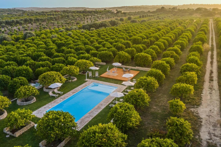 Tenuta Fiore Di Vendicari - Lemon Grove - Sicile