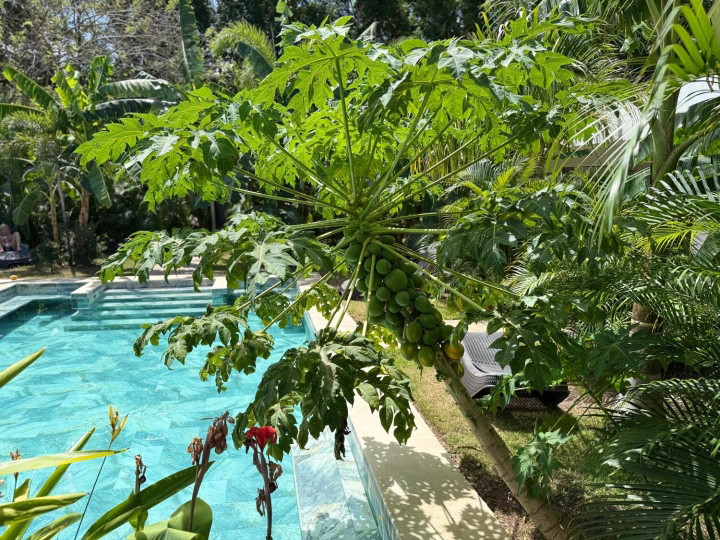 Hotel Good Life - Guanacaste Province