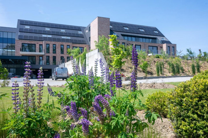 Flanders Cobblestone - Zottegem
