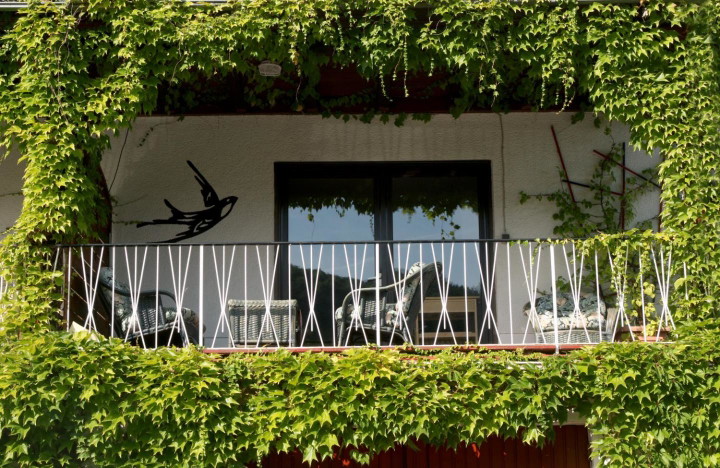 Ferienwohnung „Schwalbennest“ Reil/mosel - Hahn